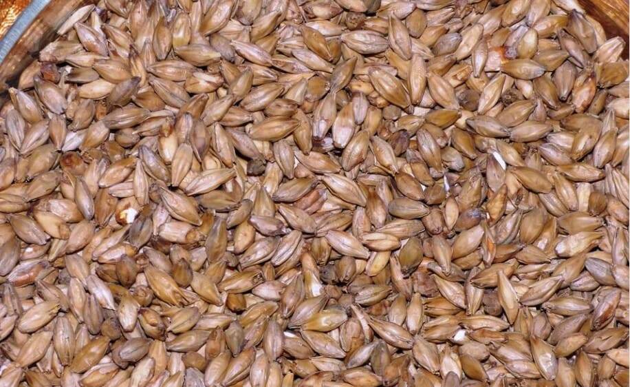 ¿Qué es la Malta de la cerveza y para qué sirve?