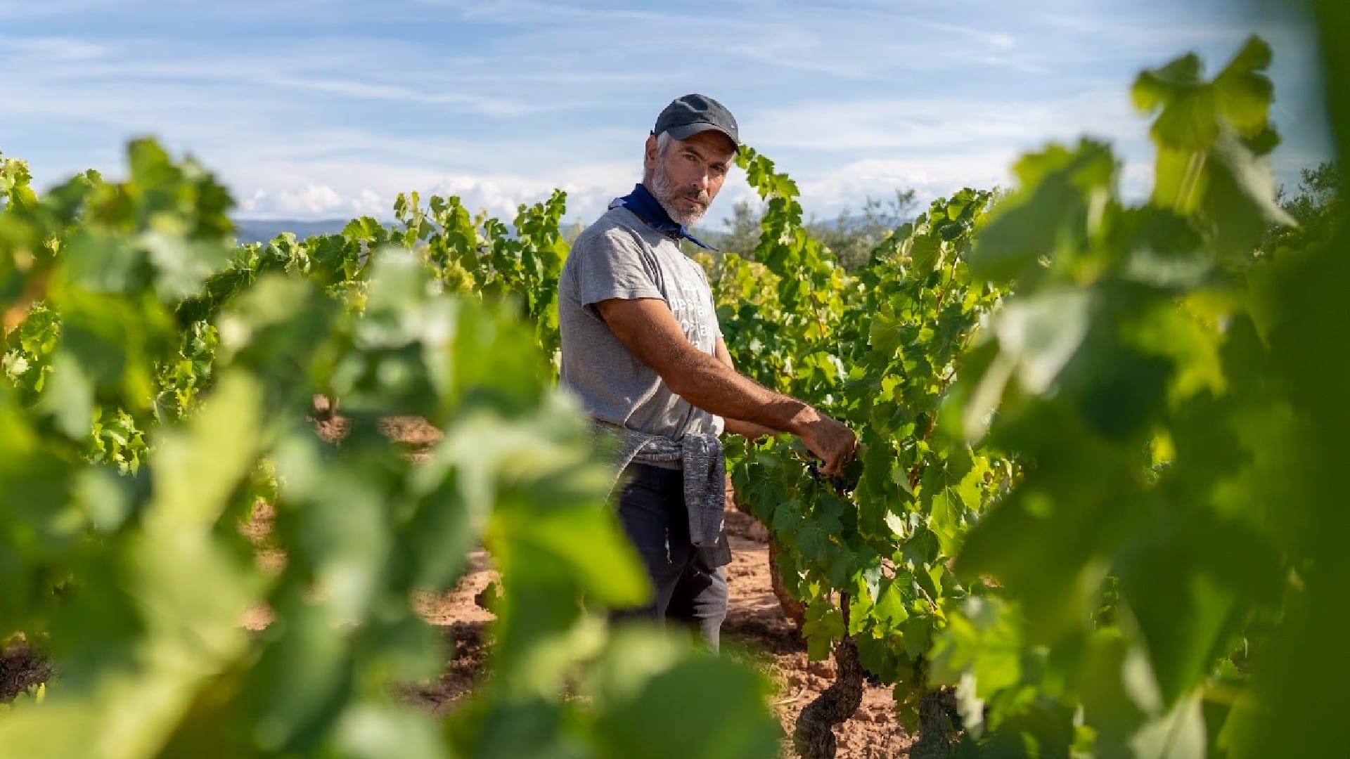 Raúl Acha: En La Rioja debemos superar la tiranía de la Tempranillo